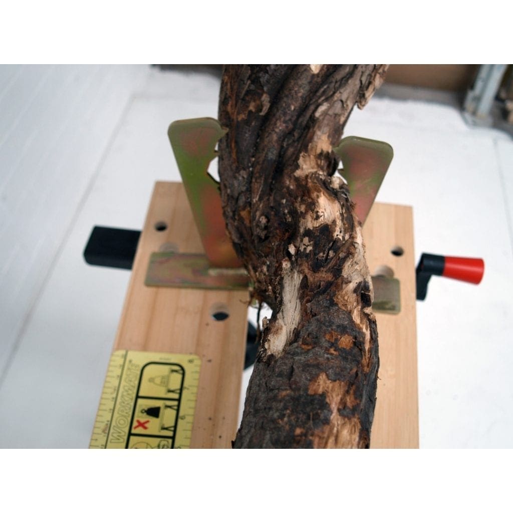Bench Jaw Work Bench Log Clamps | BJL25 | Forest Master