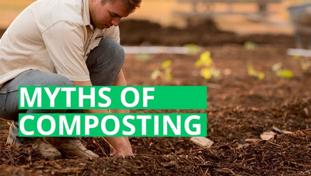 The Myths Of Composting | Forest Master