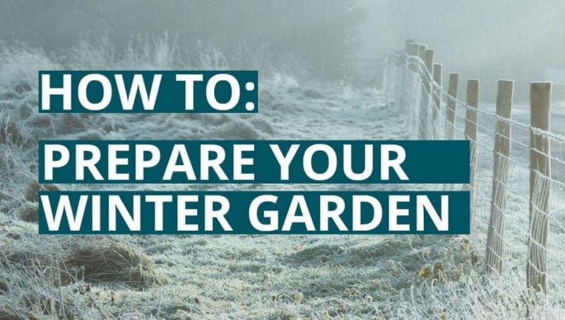How To: Prepare Your Garden For Winter | Forest Master