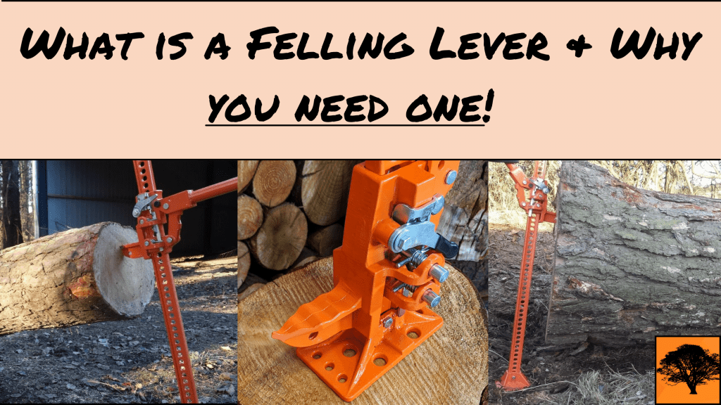 What Is A Felling Lever & Why You Need One! | Forest Master