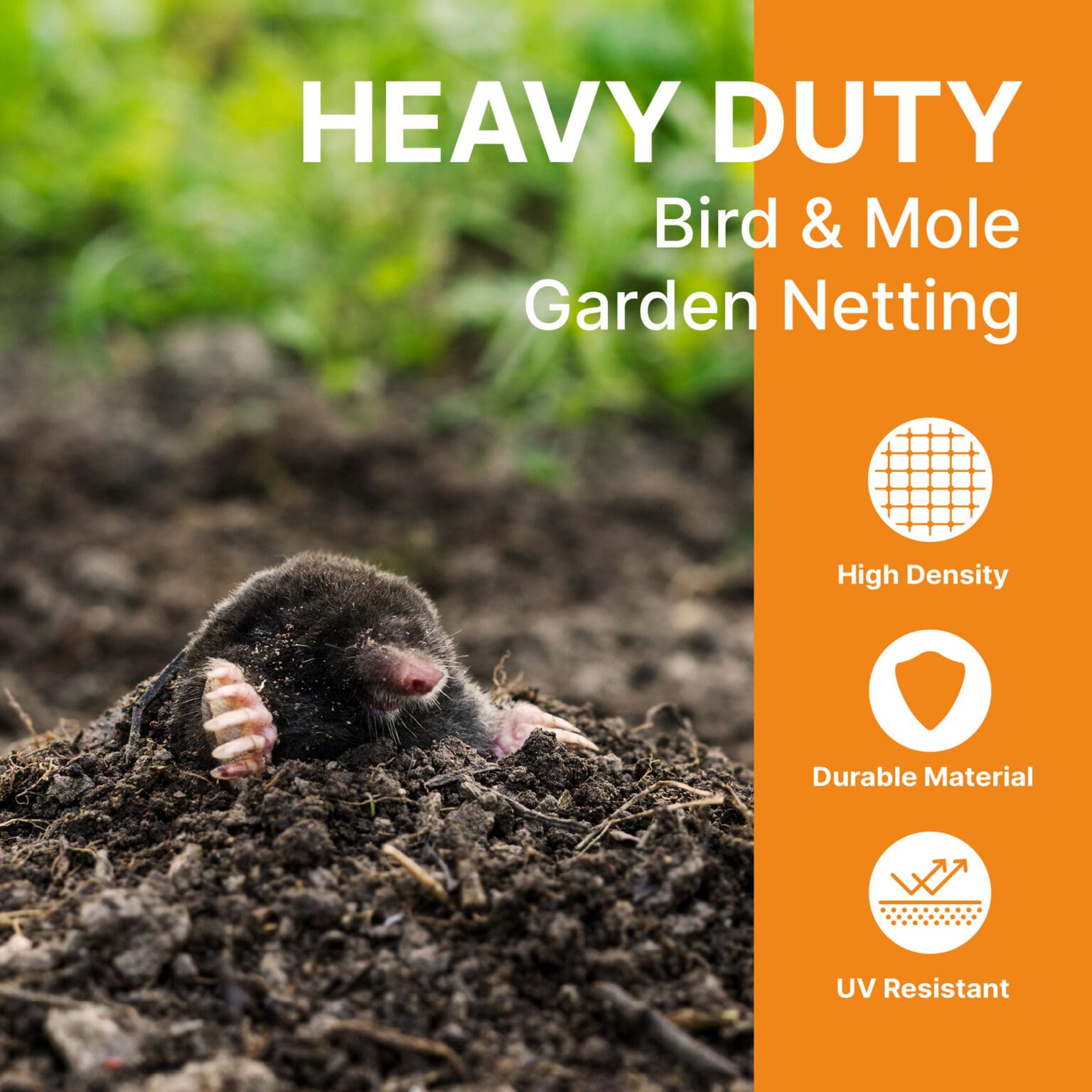 Heavy-Duty Garden Netting | Bird & Mole Protection | Mesh Barrier For ...